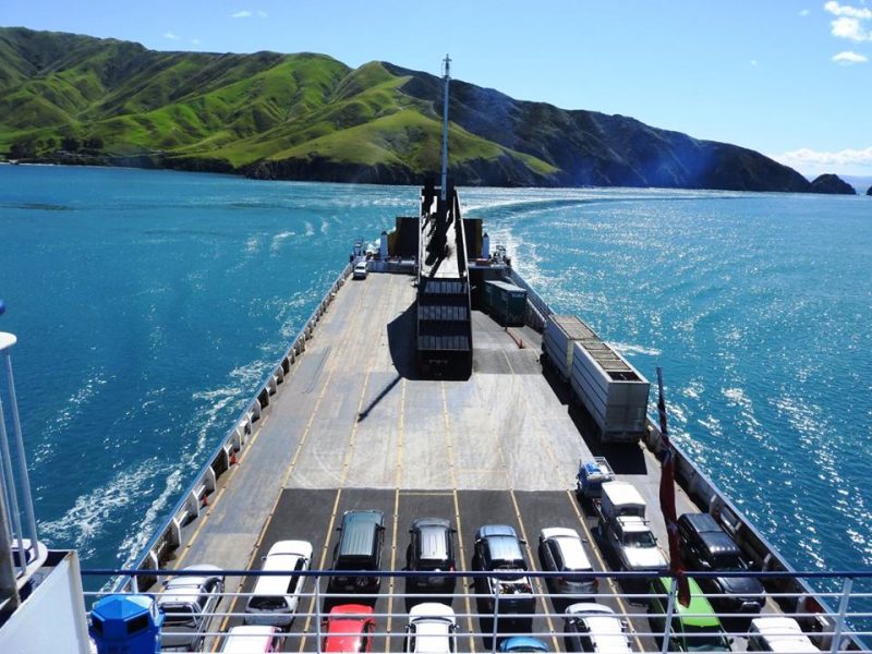 New Zealand: The South Island with Mt Cook, Milford Sound, Abel Tasman ...